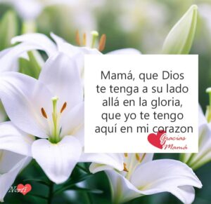 Frases para recordar y homenajear a una madre difunta ※