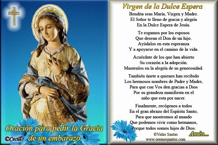 La letra en latín de "Salve Regina": una oración mariana venerada ※