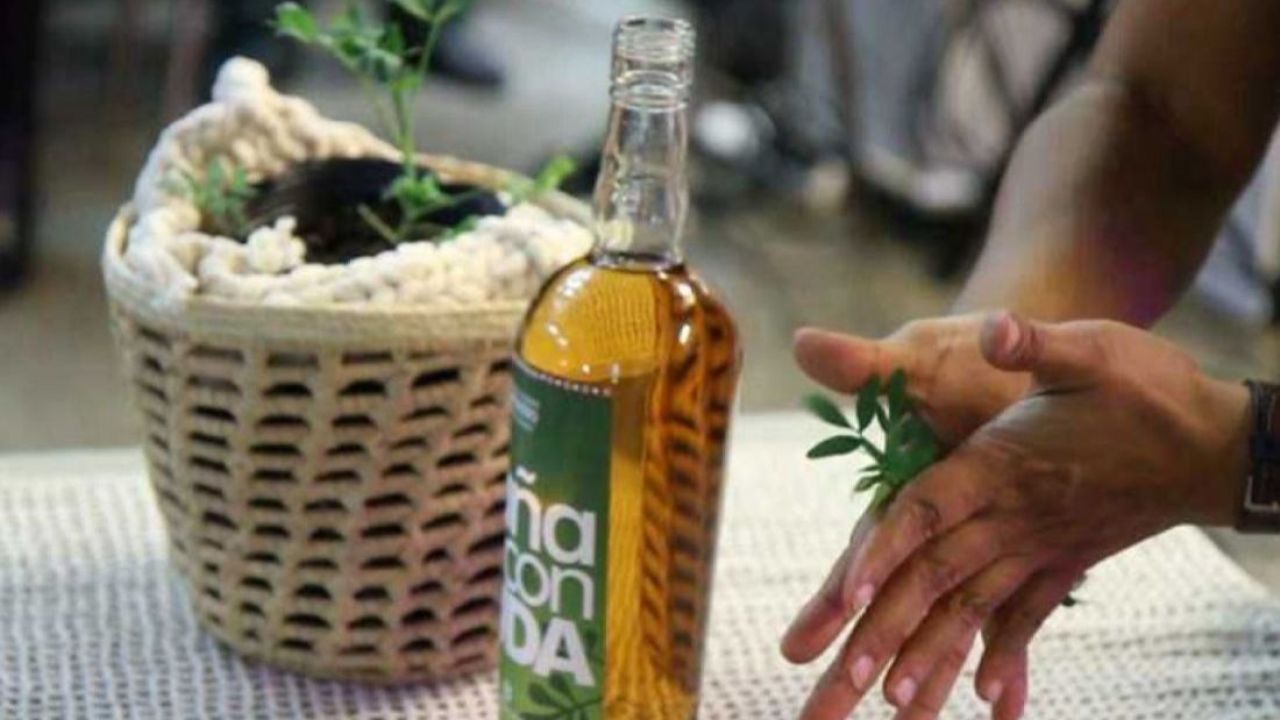 El poder de los baños con ruda para abrir caminos y atraer el éxito ※